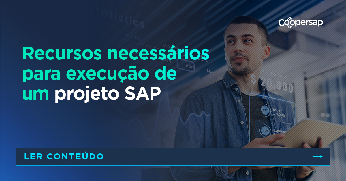 Recursos necessários para execução de um projeto SAP